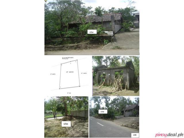Residential Lot with unfinished structures Ligao - Philippines Buy and ...
